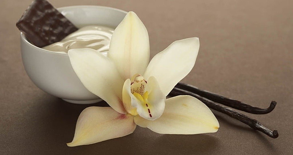 Fun Facts of Vanilla - Neugini Naturals
